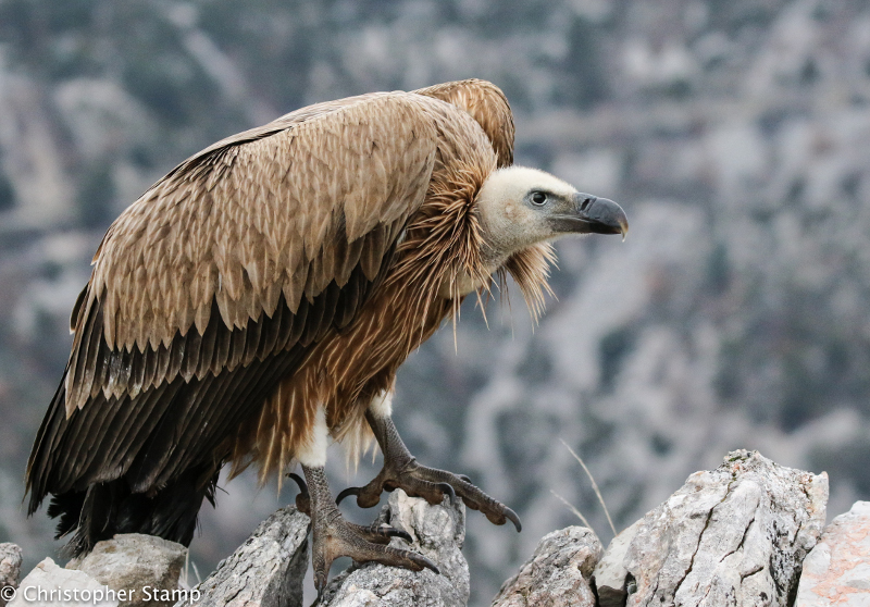 Communiqué de presse n°26 - Des agriculteurs engagés dans la protection ...