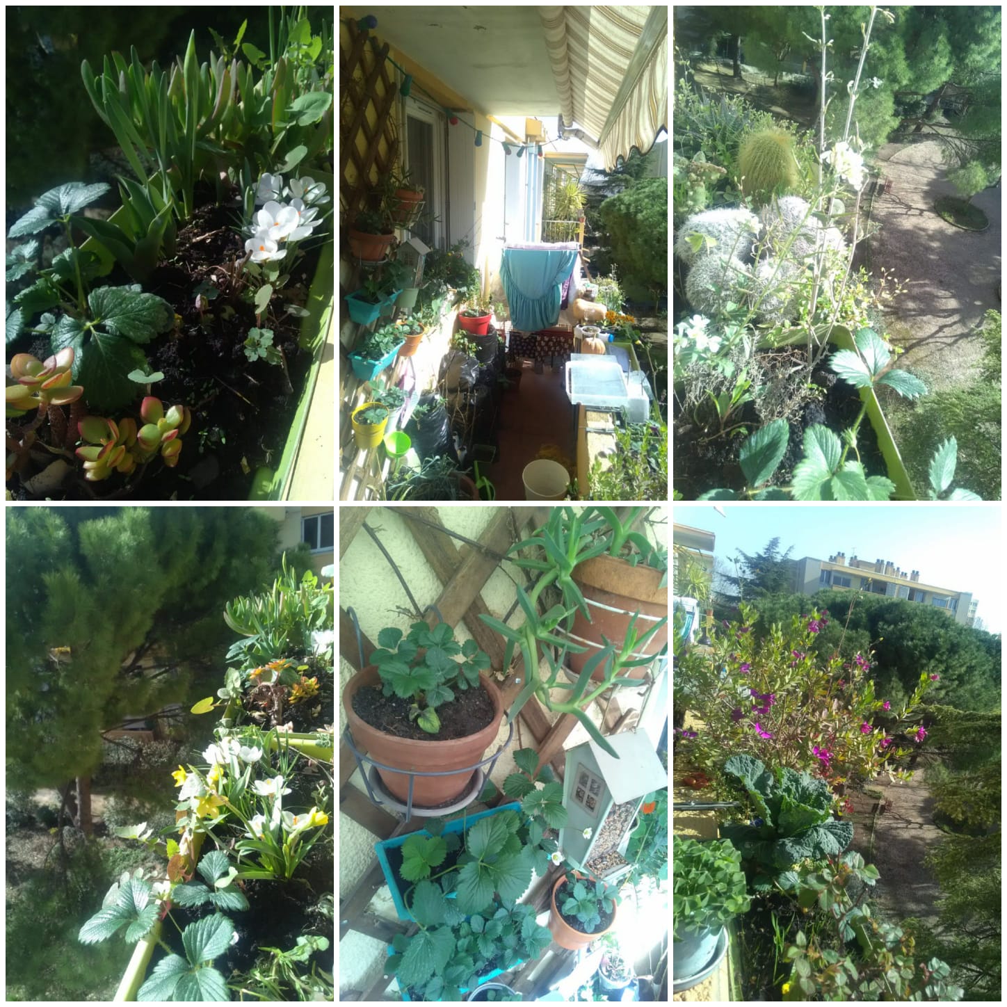 Une belle finale pour le concours de balcons de la Résidence du Parc ...