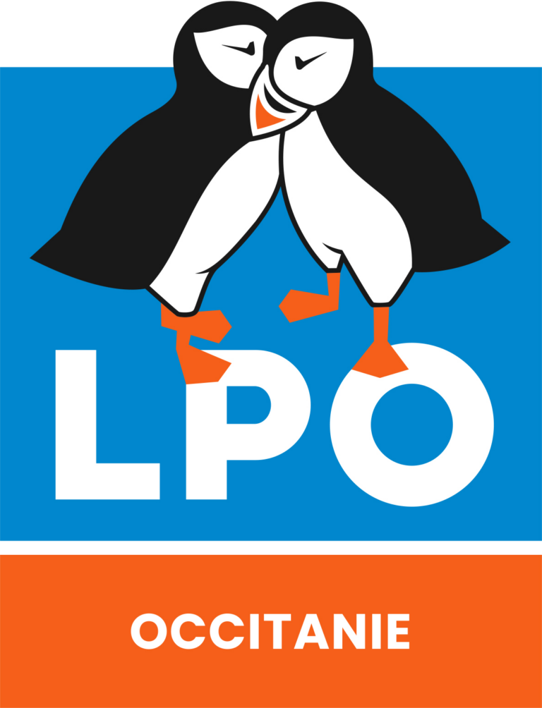 P1101755 - LPO Occitanie DT Hérault
